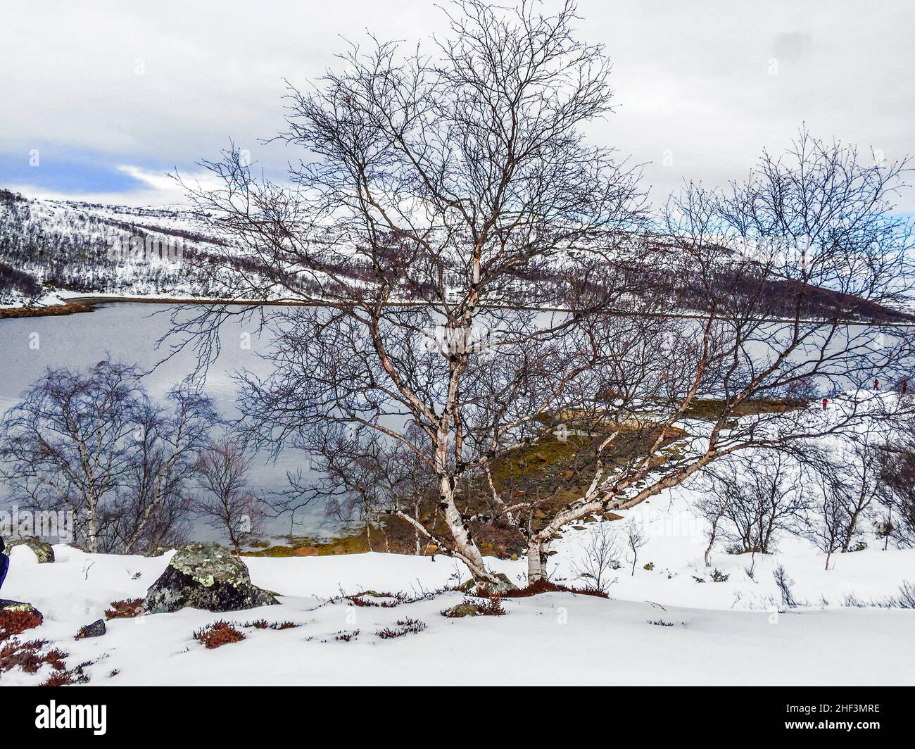 landscape in Norway under snow with icy lake Stock Photo - Alamy