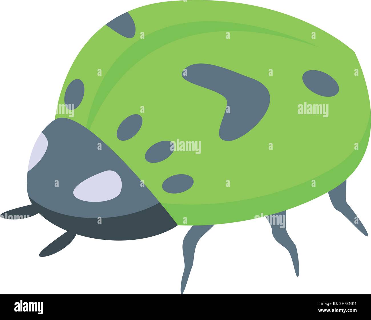 Green ladybug icon isometric vector. Cute bug. Insect garden Stock ...