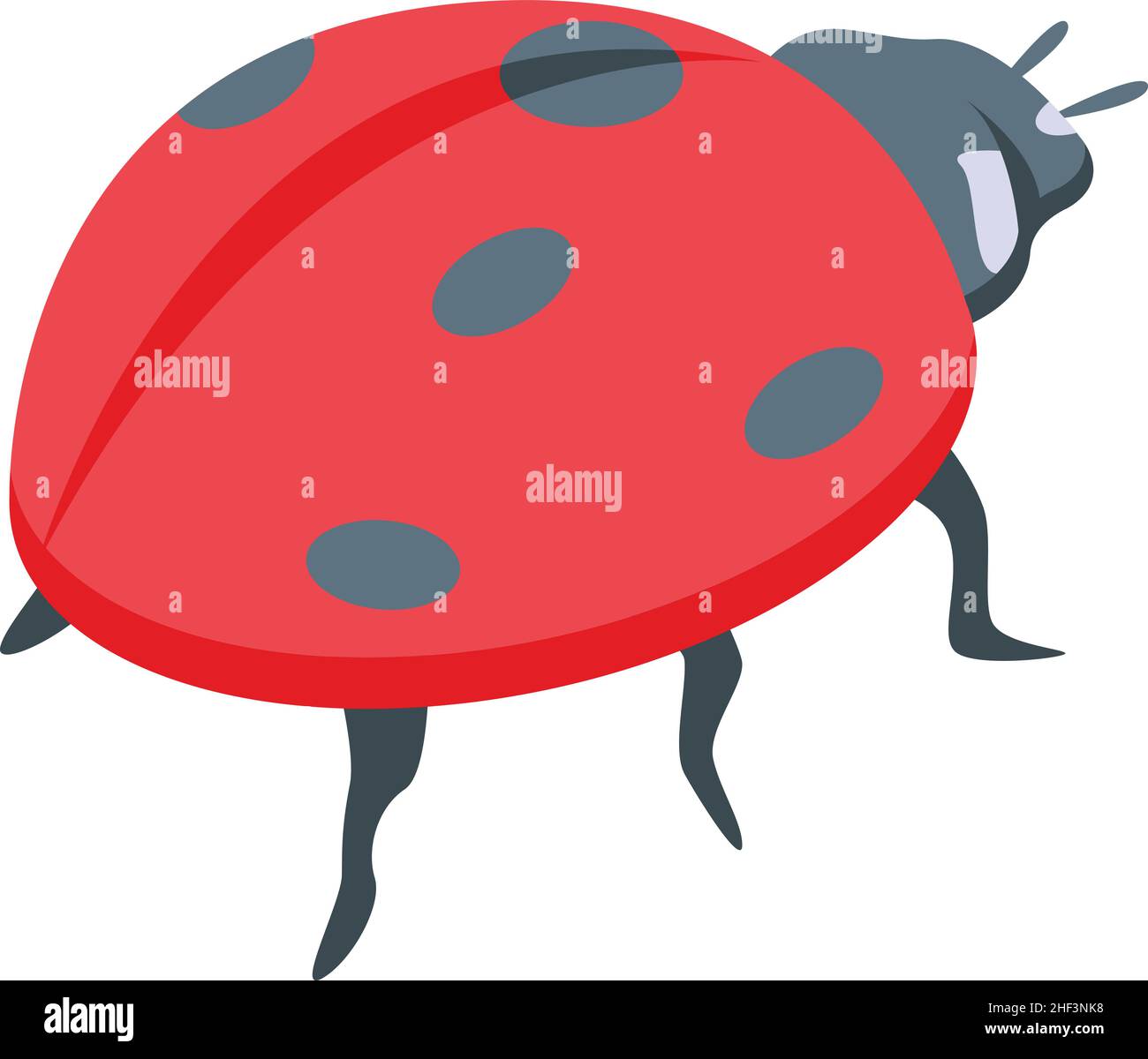 Summer ladybug icon isometric vector. Cute bug. Garden beetle Stock ...