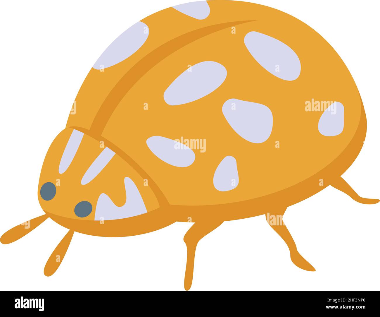 Orange ladybug icon isometric vector. Cute ladybird. Cute insect Stock ...