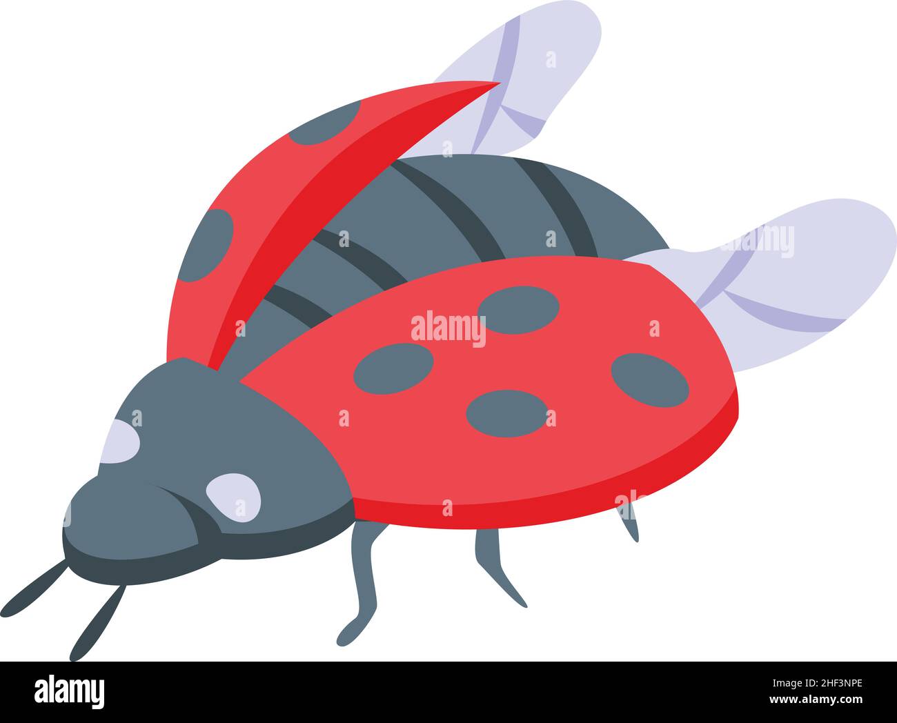 Flying ladybug icon isometric vector. Cute bug. Insect beetle Stock ...