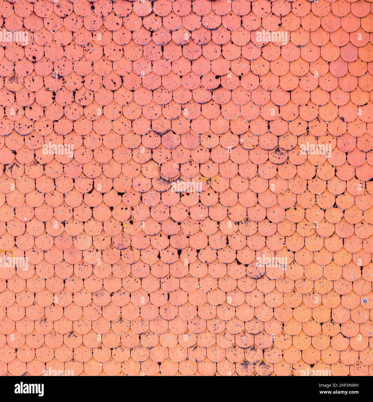 Red shingles hi-res stock photography and images - Alamy