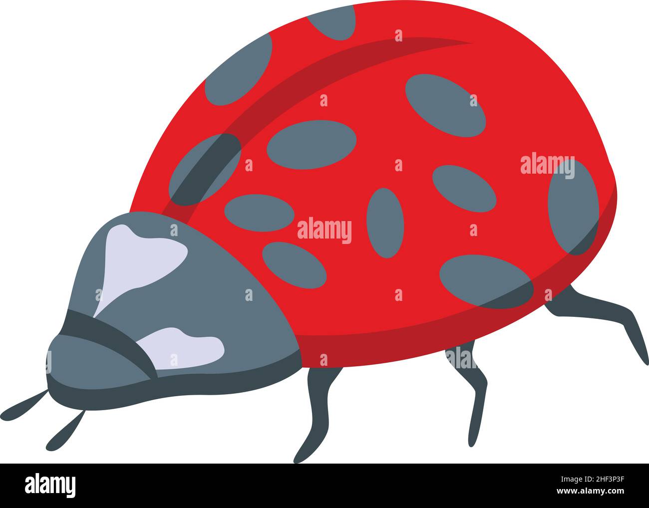 Red ladybird icon isometric vector. Cute bug. Insect garden Stock ...