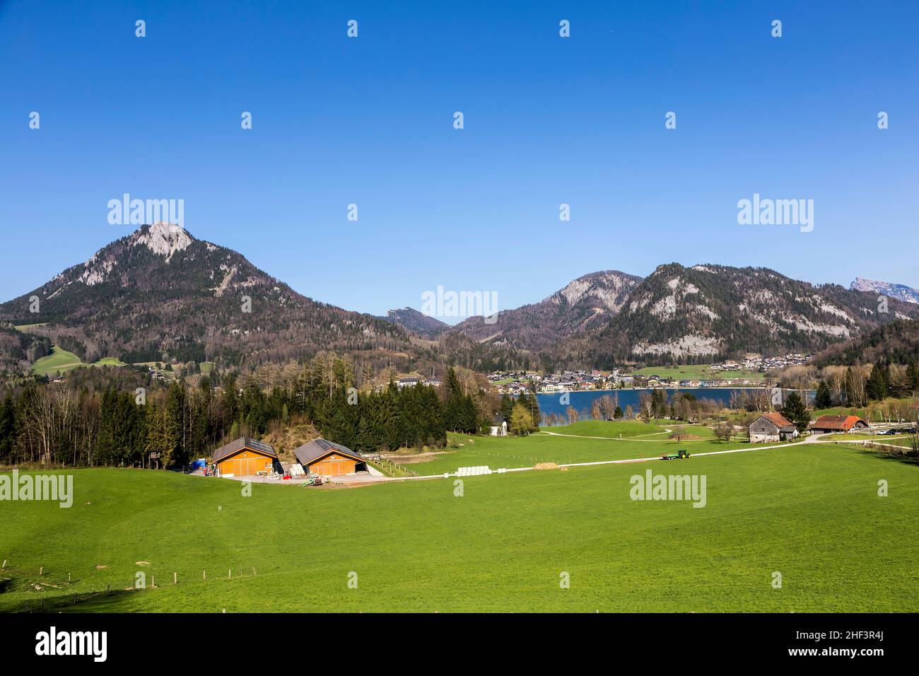 Lake Fuschl with beautiful alps panorama and green meadow Stock Photo ...