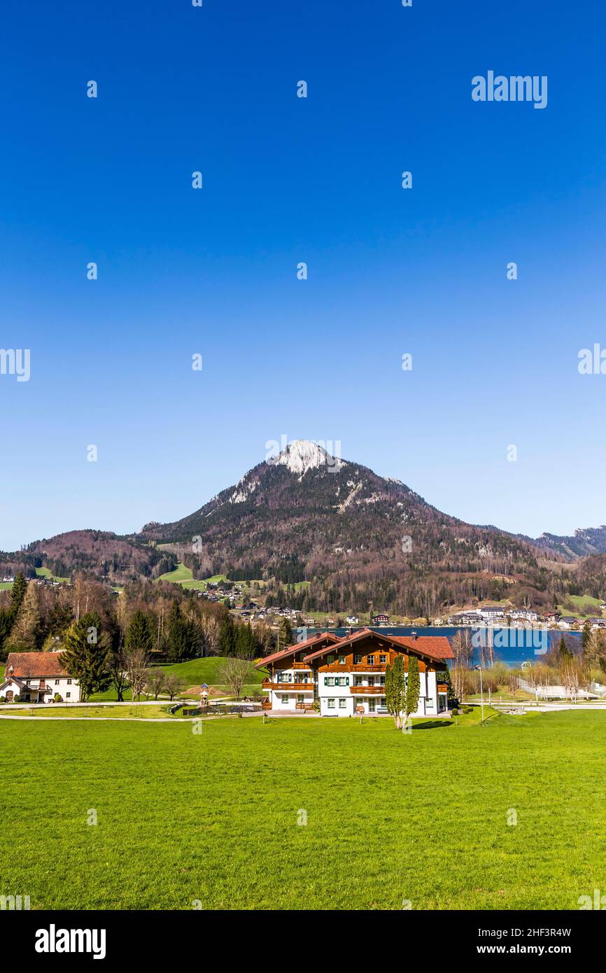 Lake Fuschl with beautiful alps panorama and green meadow Stock Photo ...