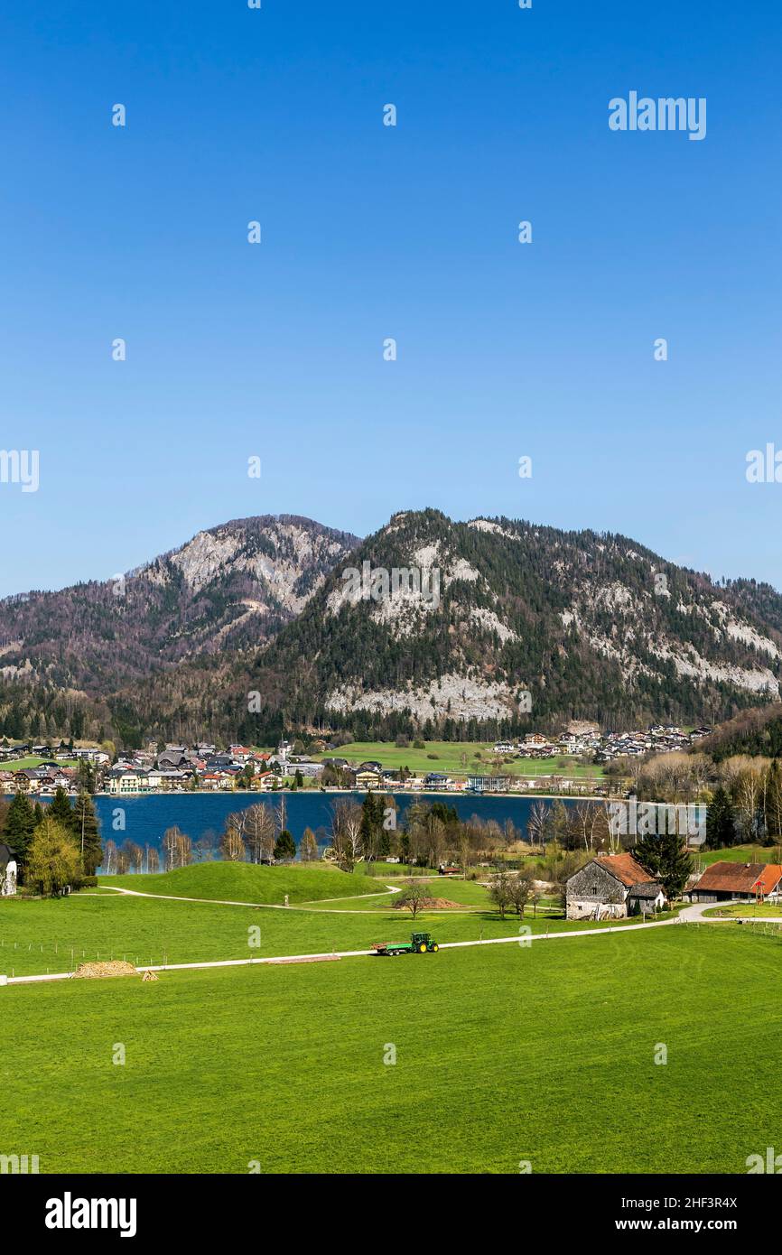 Lake Fuschl with beautiful alps panorama and green meadow Stock Photo ...