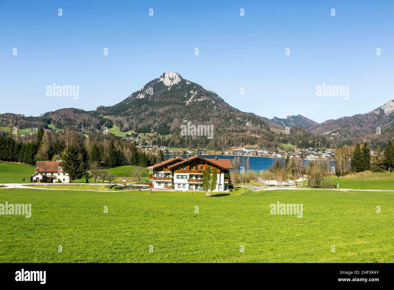 Lake Fuschl with beautiful alps panorama and green meadow Stock Photo ...