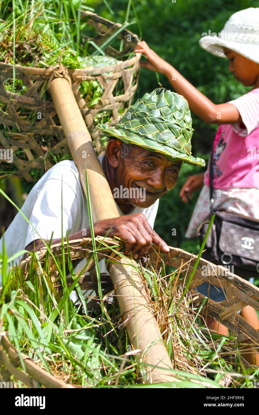 A farmer carrying baskets in the terraced rice paddies with a young ...