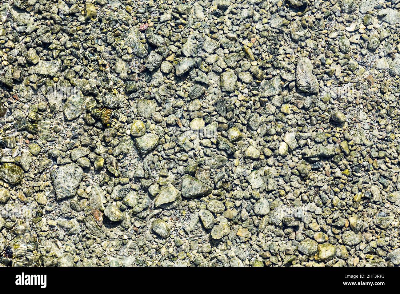 beautiful stones in a river bed Stock Photo - Alamy