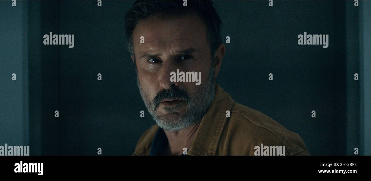 David Arquette Scream