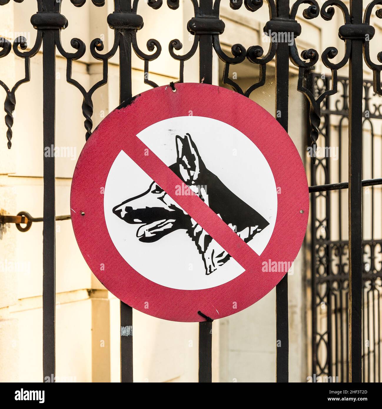 sign ntrance for Dogs forbidden at the old fence Stock Photo - Alamy