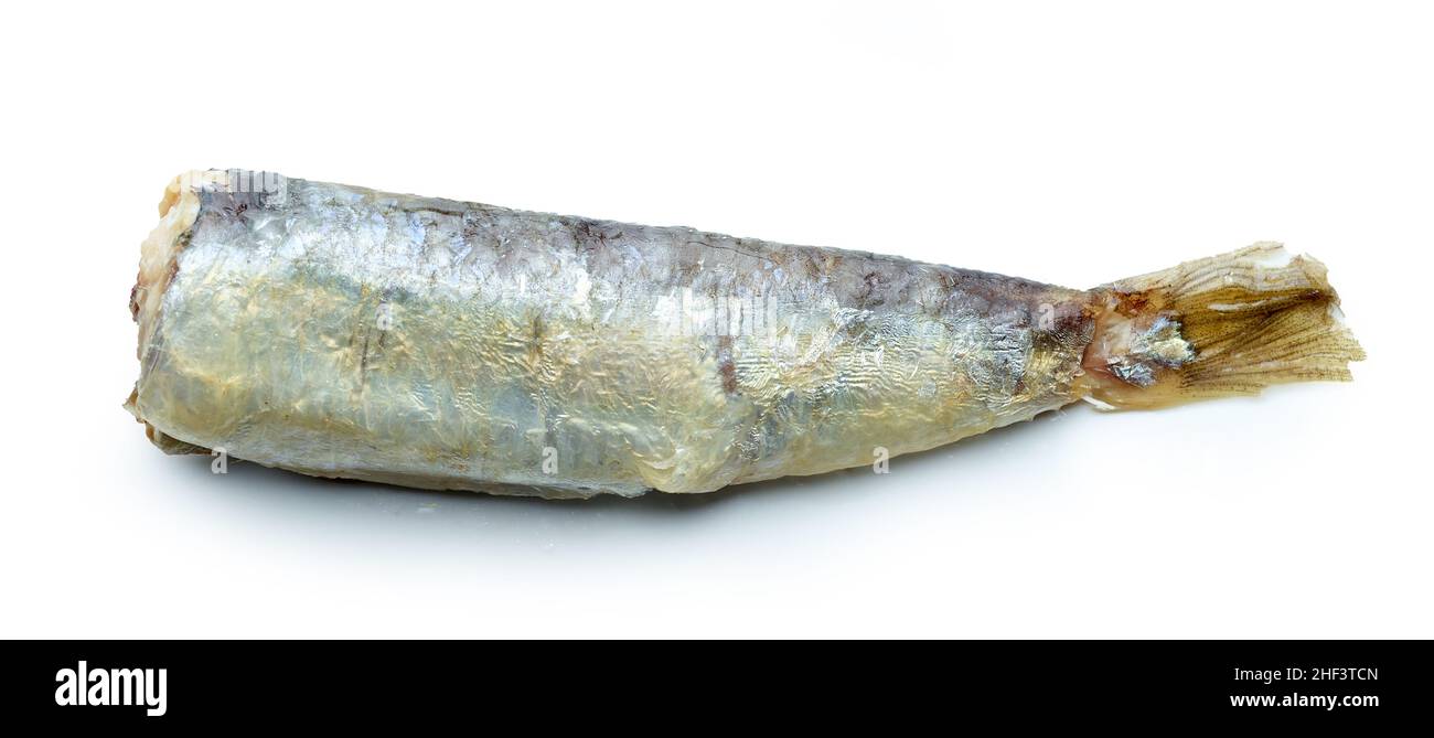 canned sardine isolated on white background, top view Stock Photo - Alamy