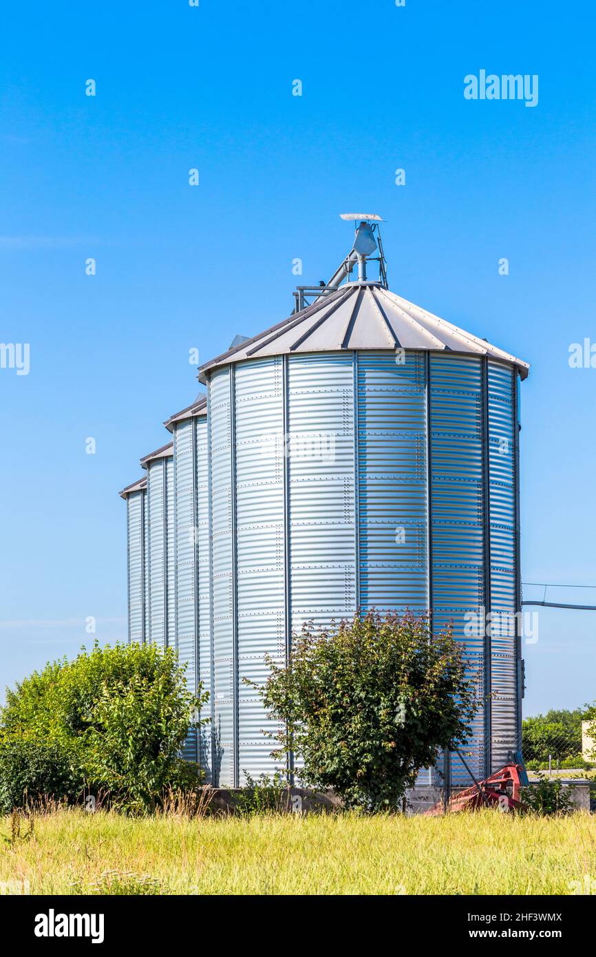 four silver silos in field under bright blue sky Stock Photo - Alamy