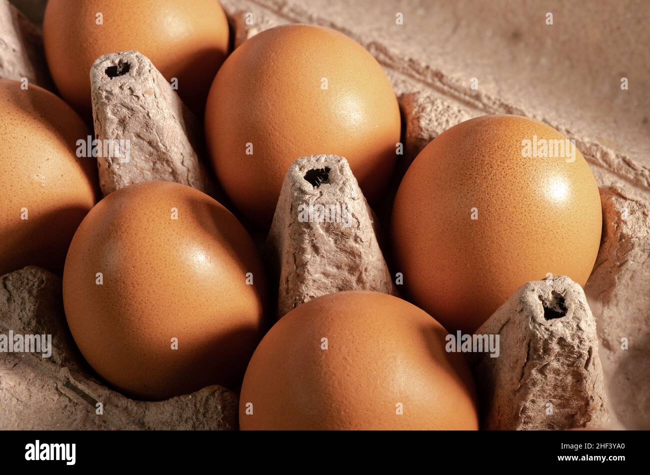 Six pack tray hi-res stock photography and images - Alamy