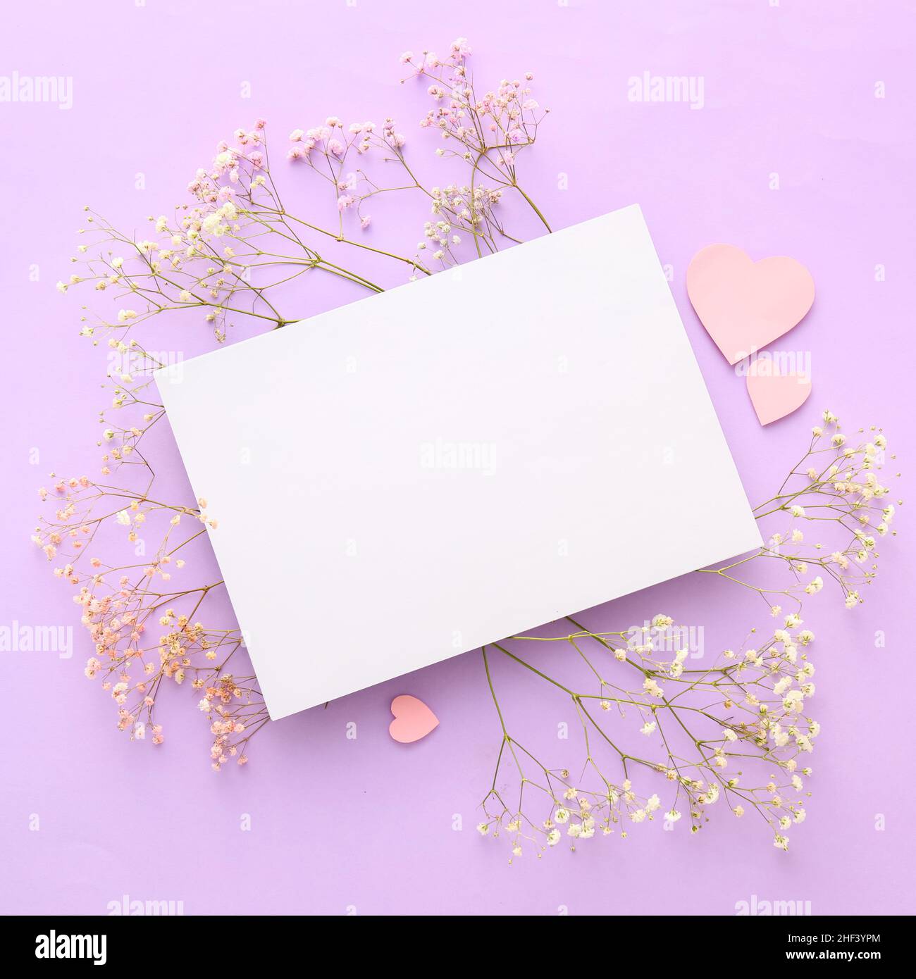 Composition with blank card, gypsophila flowers and paper hearts on ...