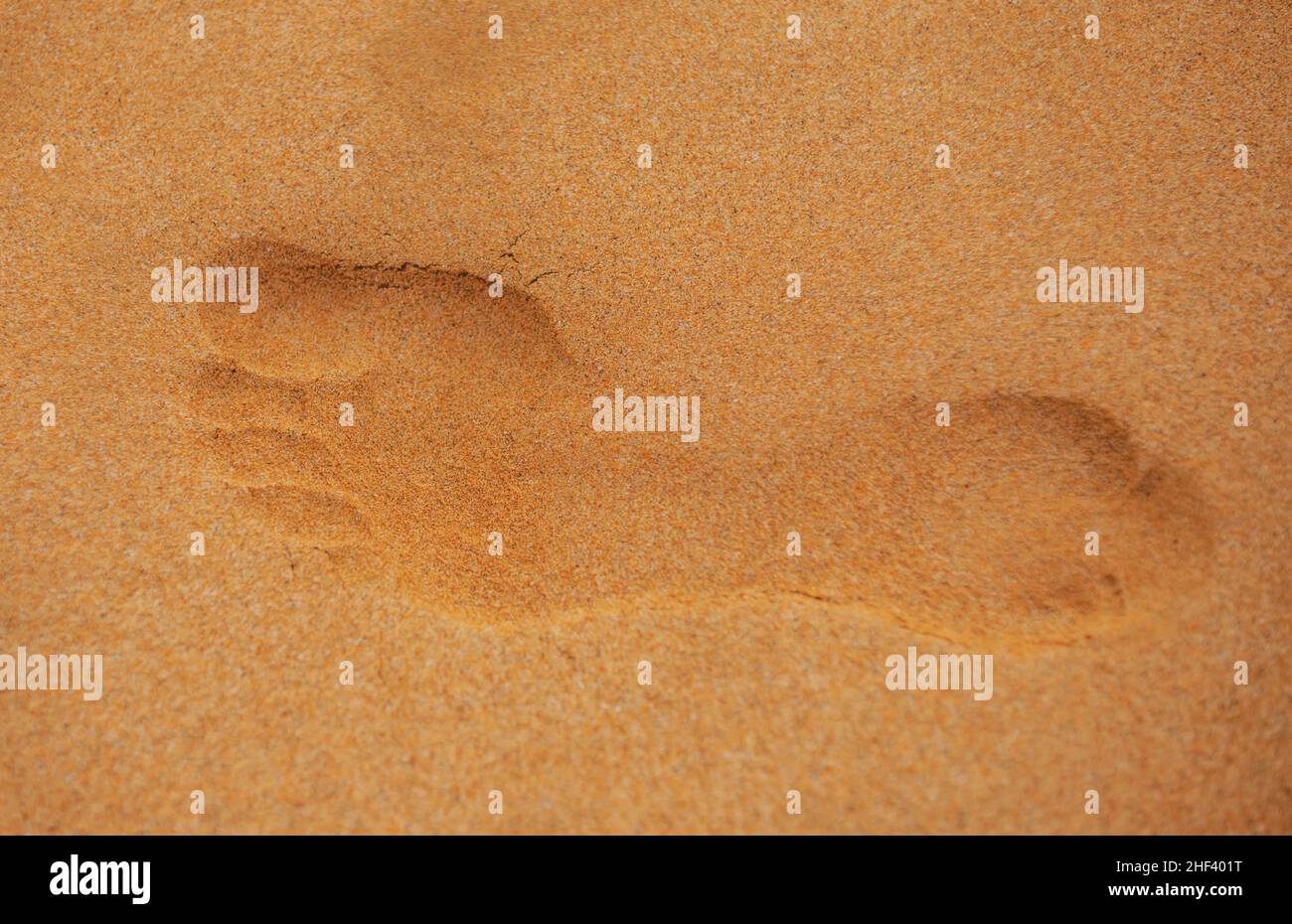 Footprints barefoot in the desert sand. Foot print in the sandy beach ...