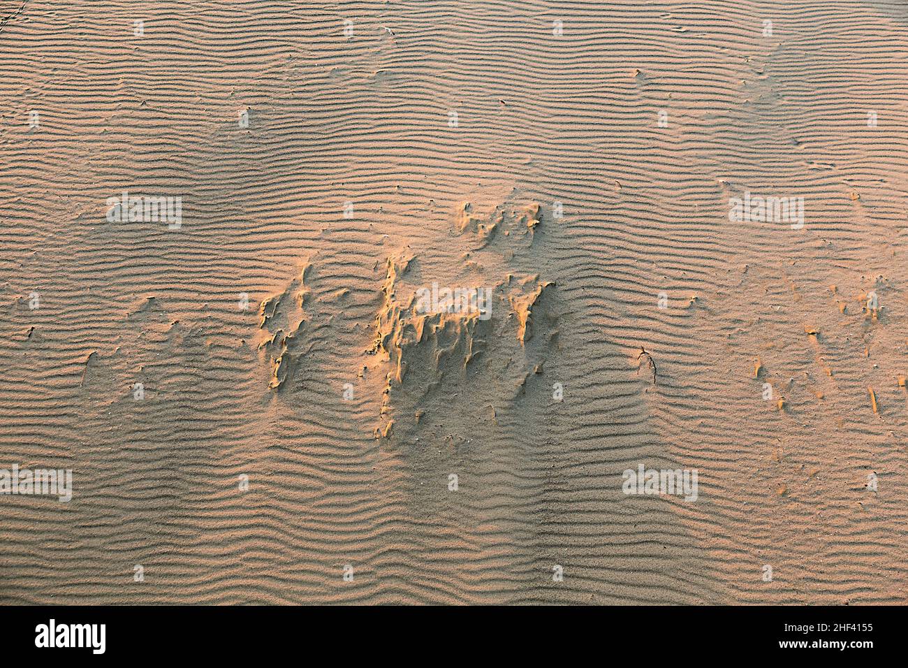 beautiful waves at he sandy beach gives a harmonic pattern in morning ...