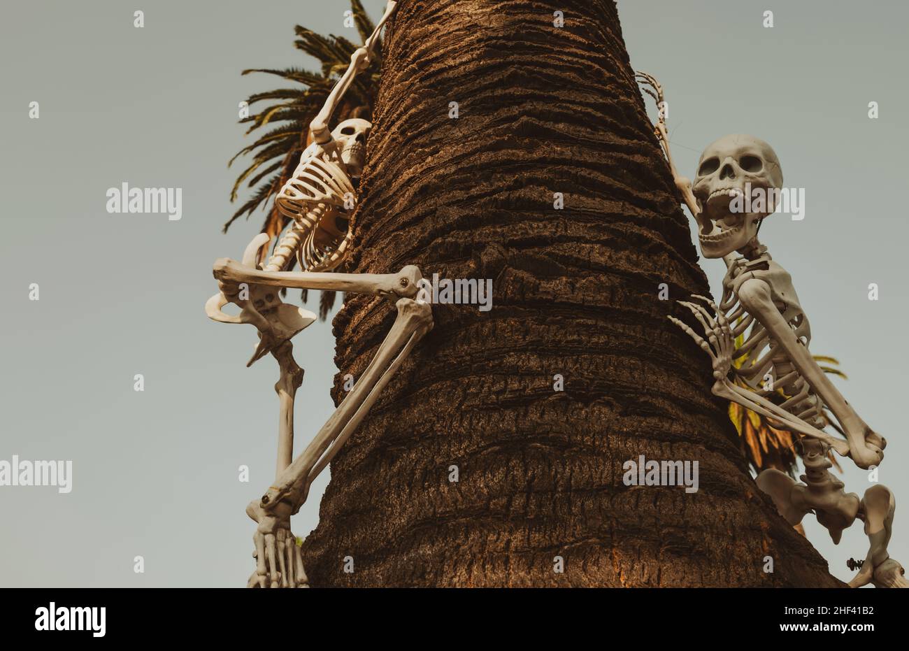 Outdoor Decor for Helloween. Dead owner in the window of the house ...