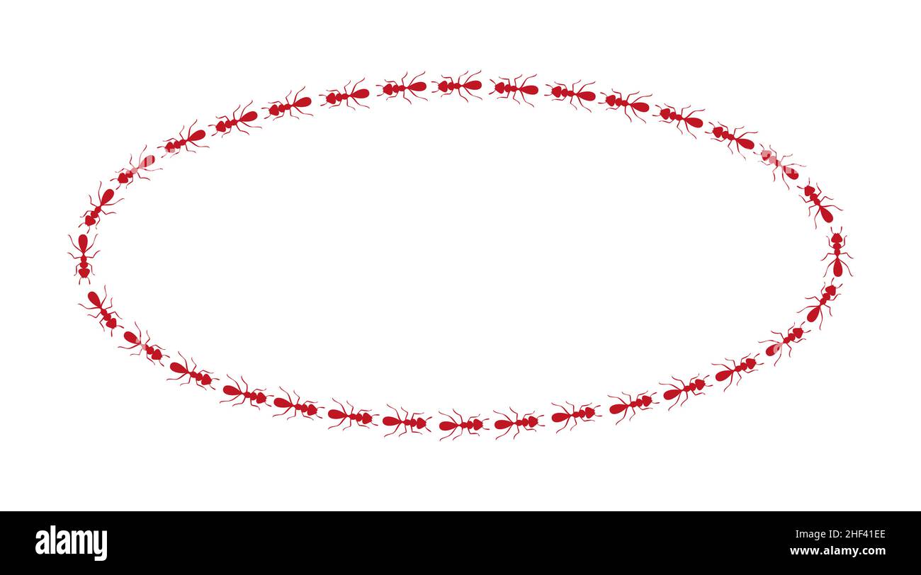 Ants path oval border. Red ant circle trail isolated in white ...