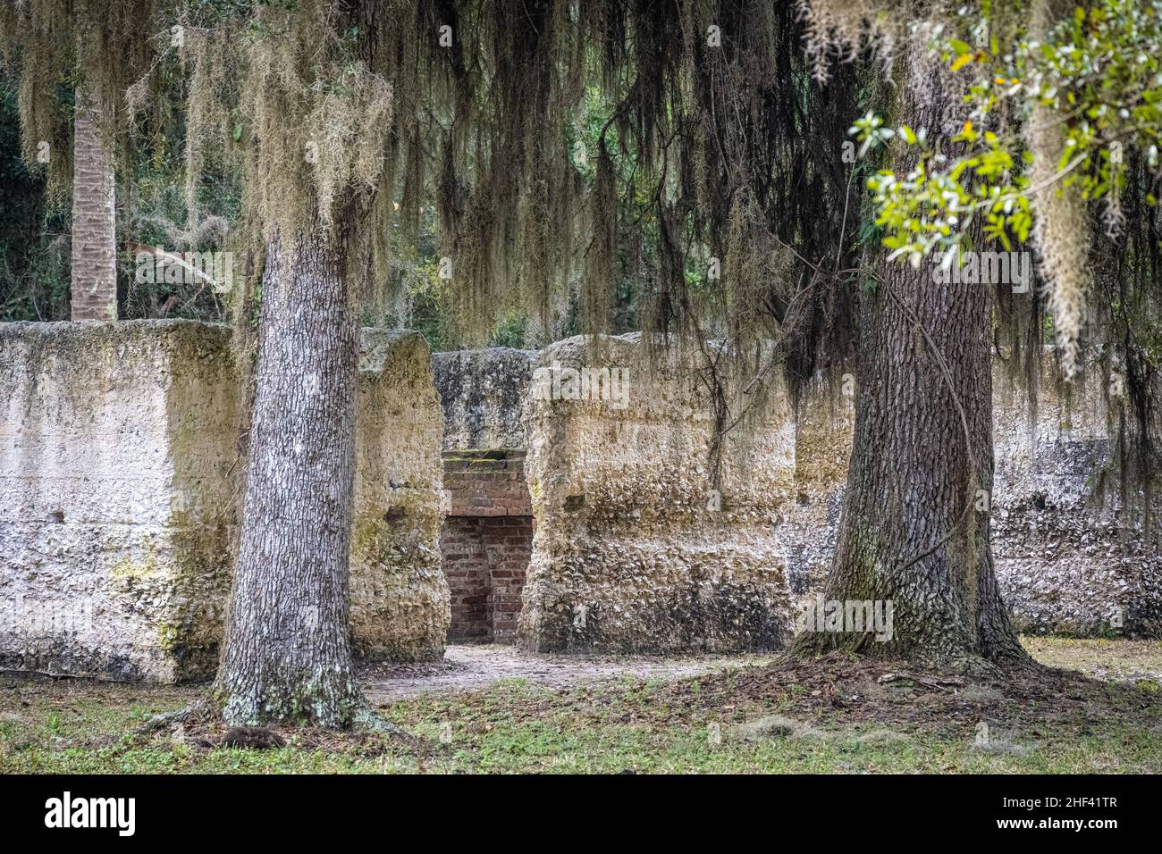 Slave house ruins at Kingsley Plantation on Fort George Island in Jacksonville, Florida. (USA ...
