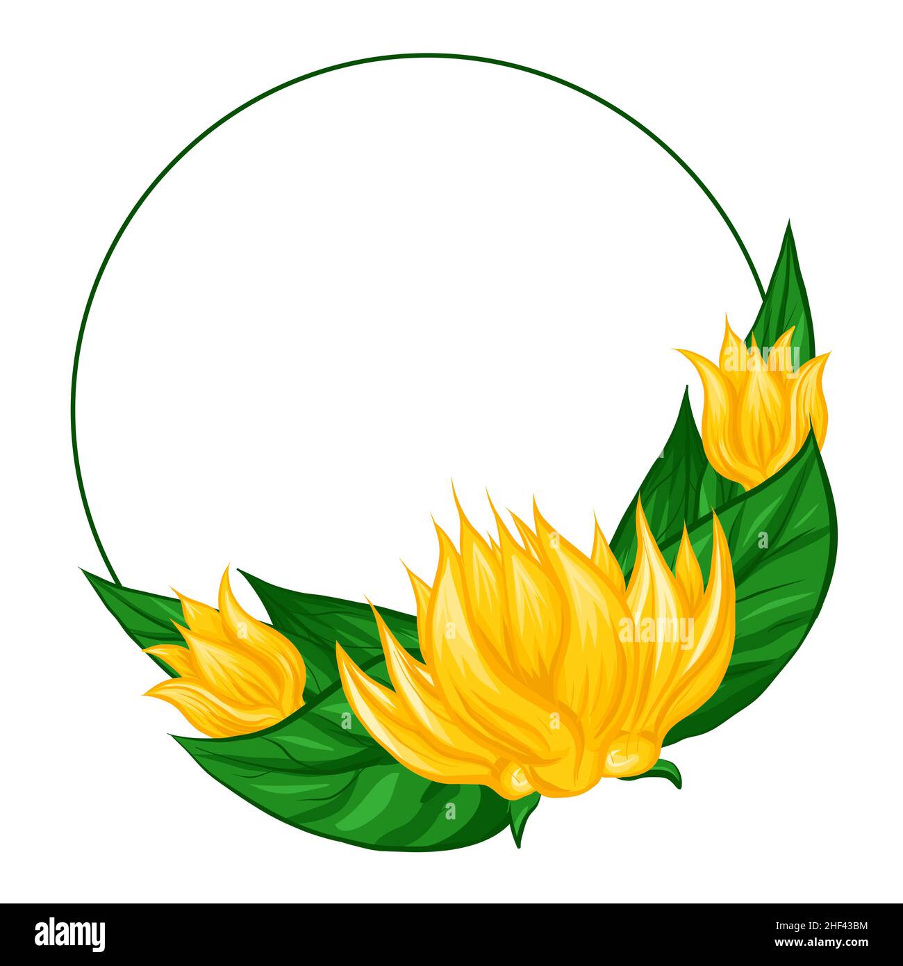 Ylang Ylang Vector