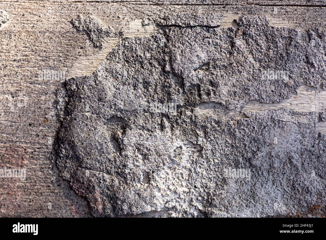 Old moldy wood texture background hi-res stock photography and images ...