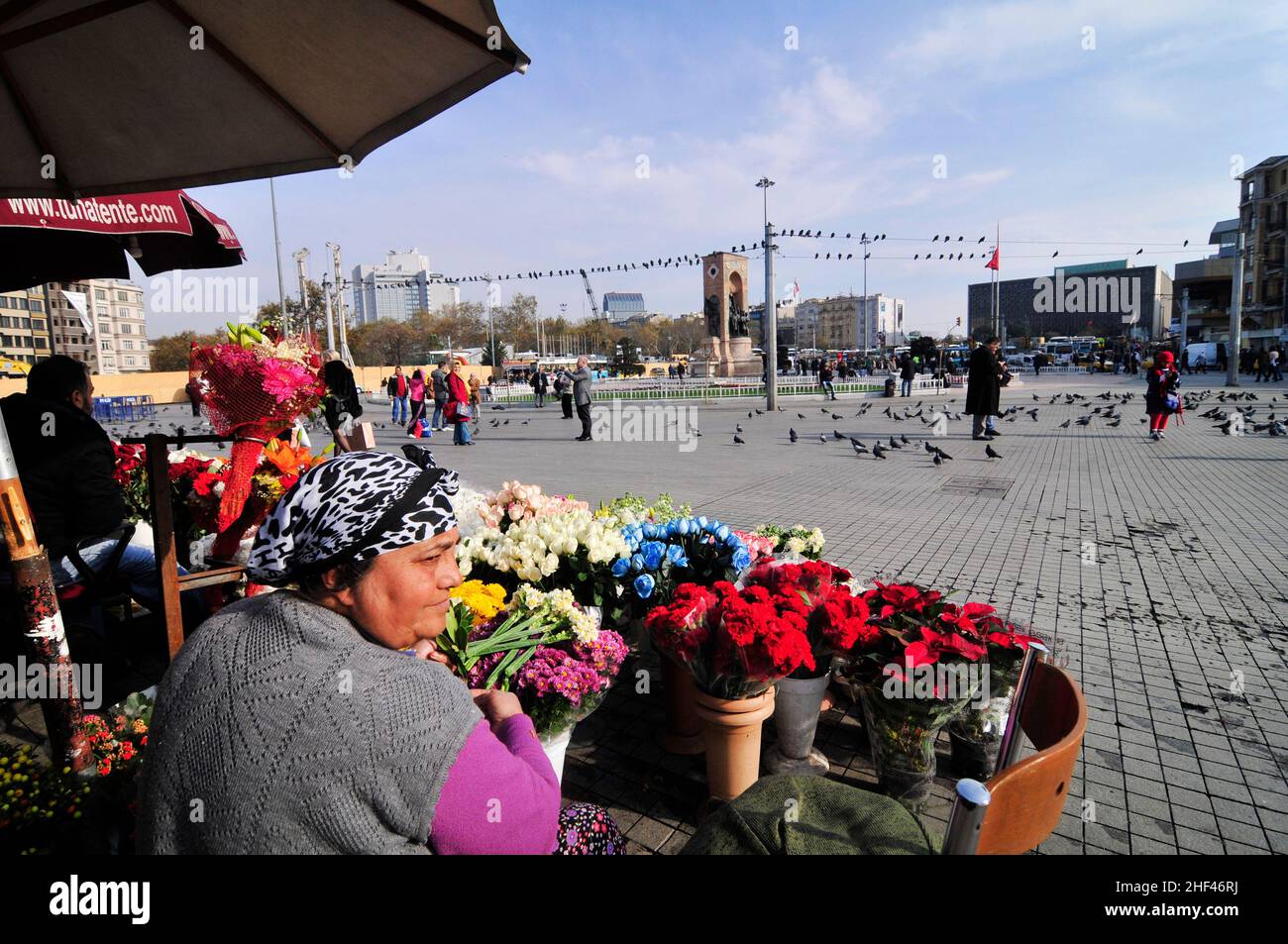 Flower of constantinople hi-res stock photography and images - Alamy