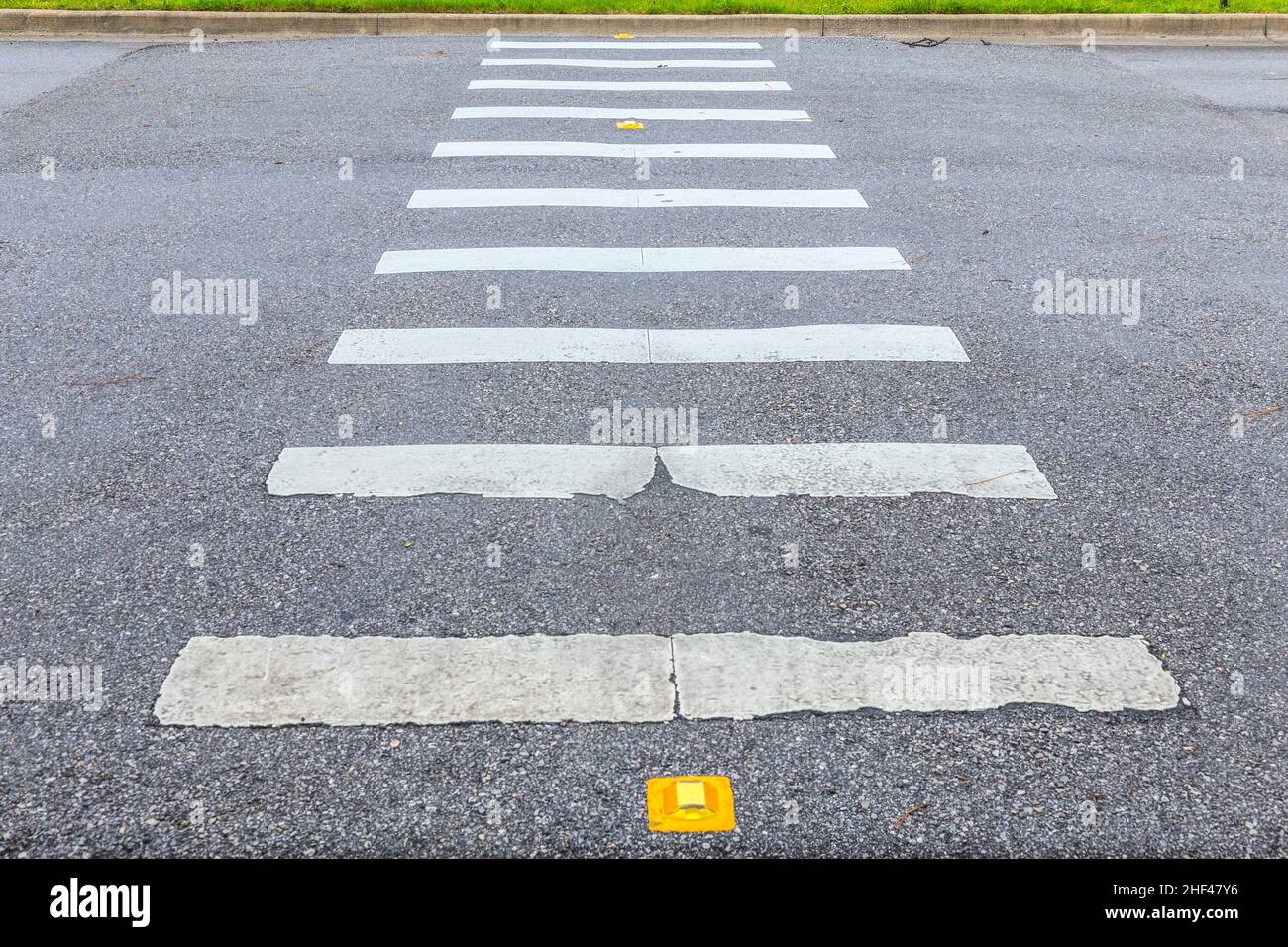zebra way on the asphalt road surface Stock Photo - Alamy