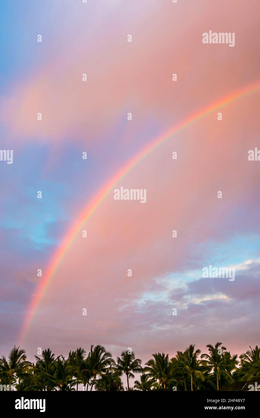 rainbow over the tropical forest in hawaii Stock Photo - Alamy