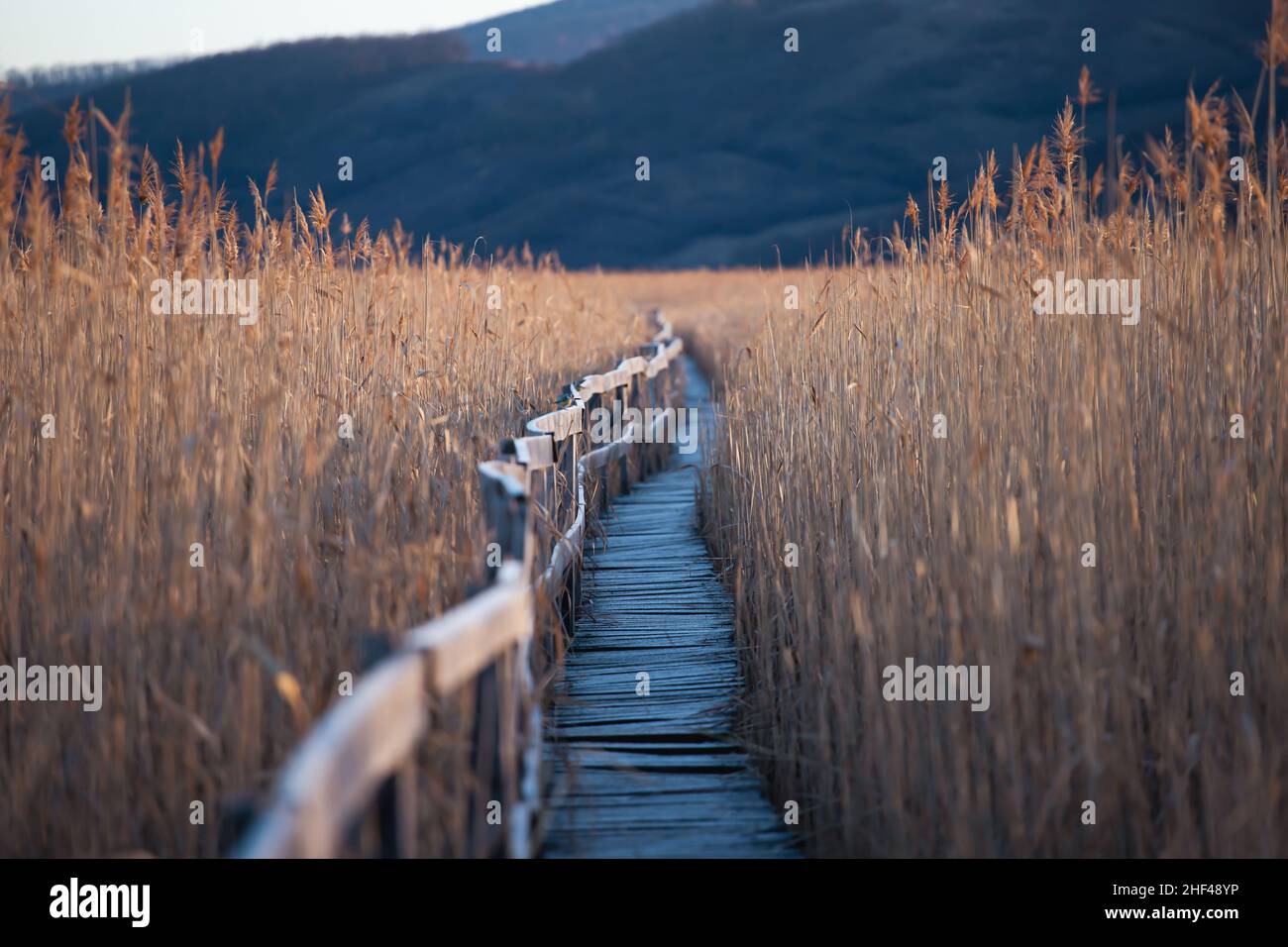Old wooden boardwalk with a railing on the side and watchtower in the ...