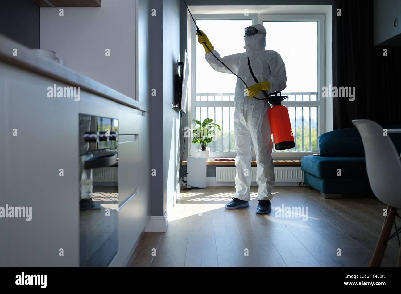 Uniform insect hi-res stock photography and images - Alamy