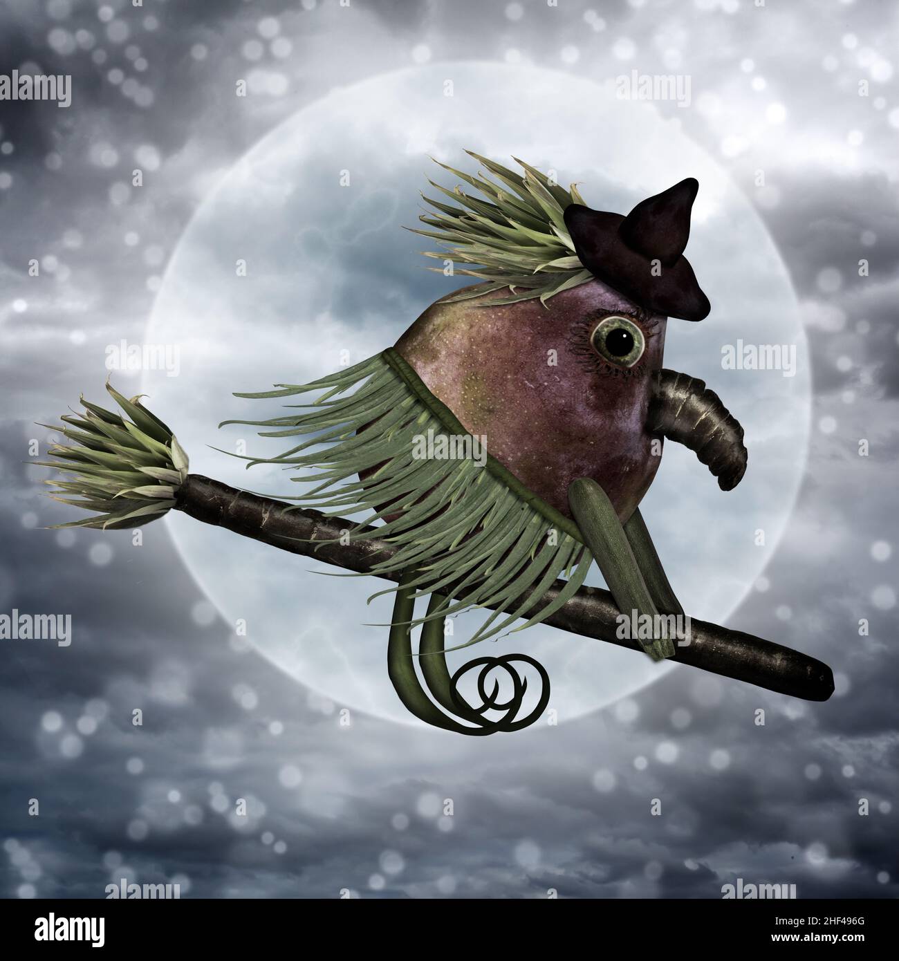 Witch on a broomstick hi-res stock photography and images - Alamy