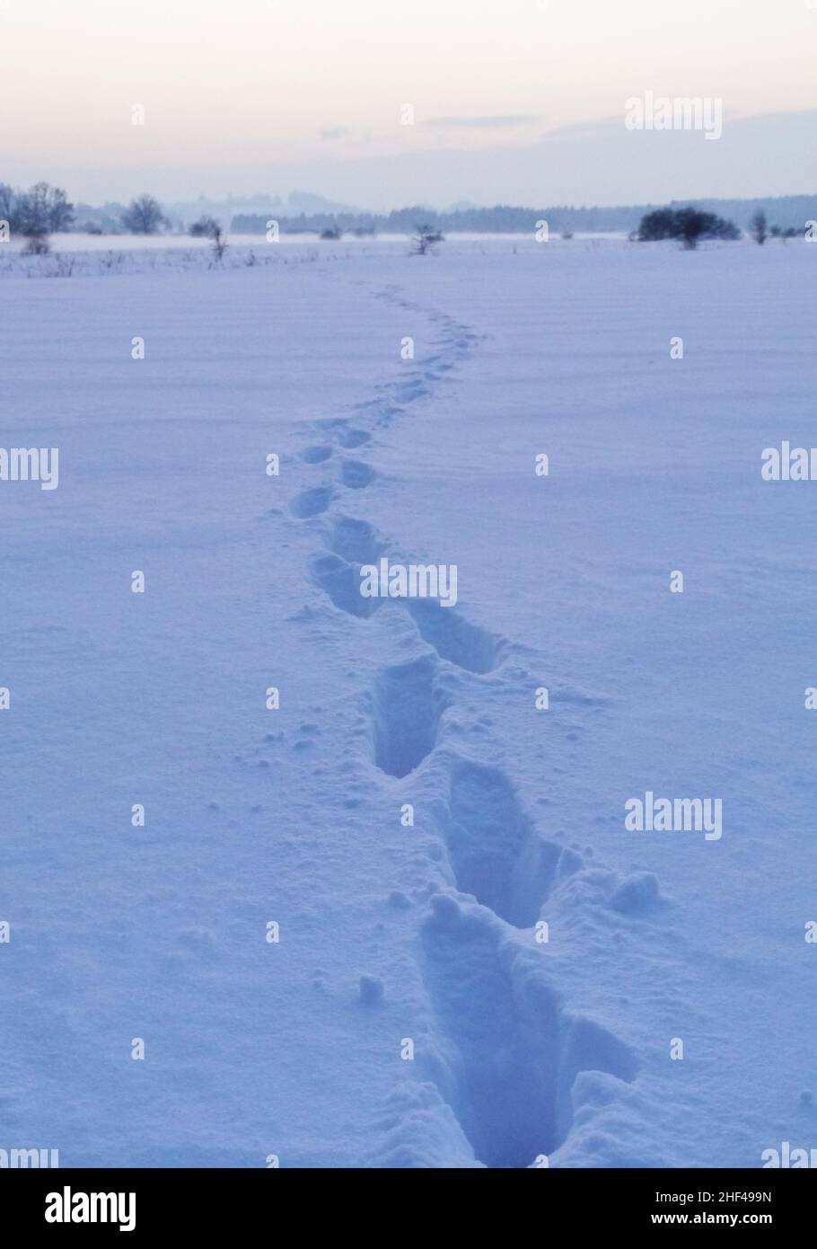 path winter landscape Stock Photo - Alamy