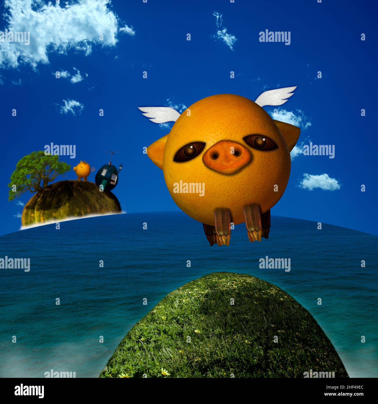 Pig taking off in flight from island Stock Photo - Alamy