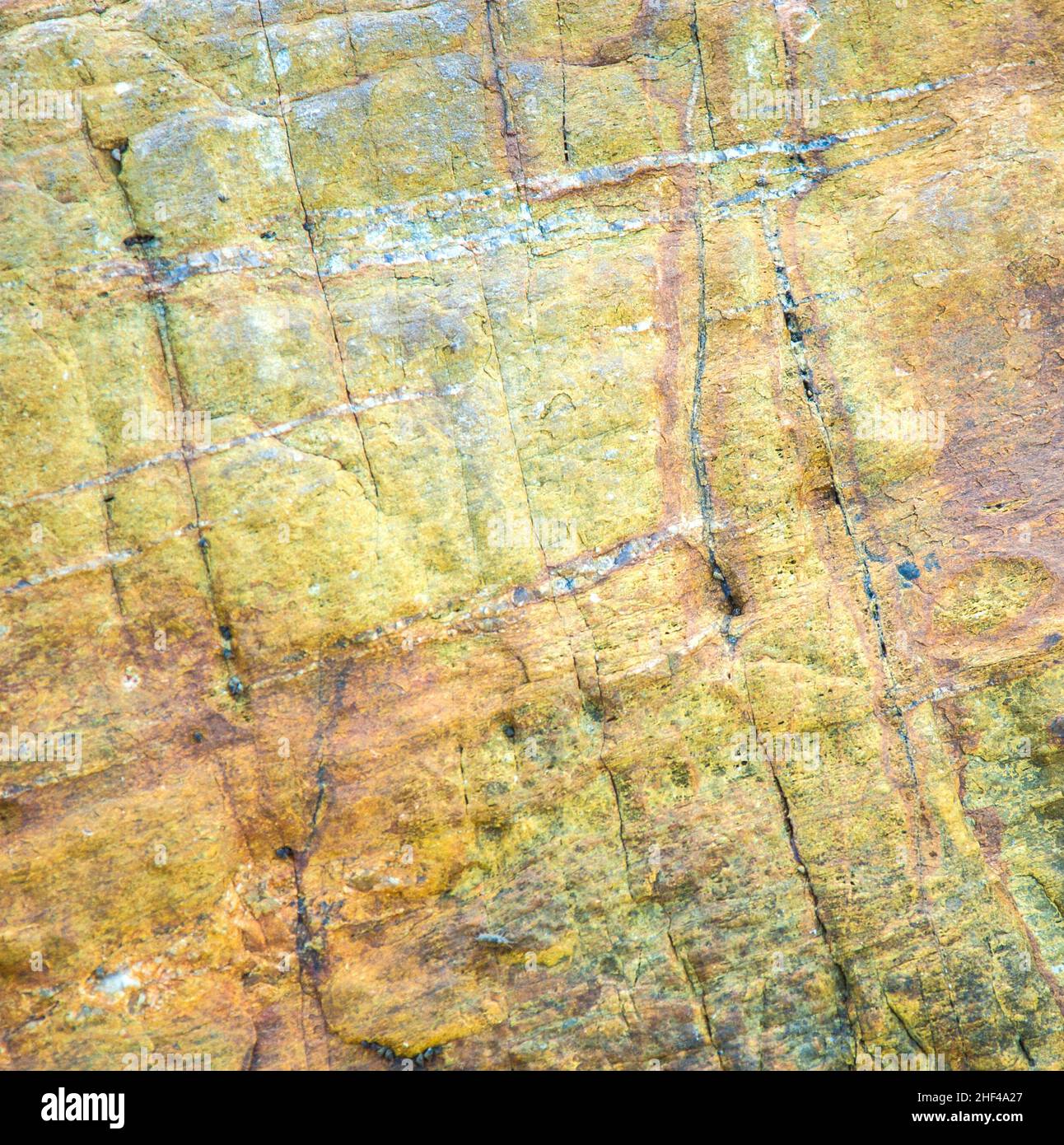 beautiful pattern in Stone at the coast in Thailand Stock Photo - Alamy