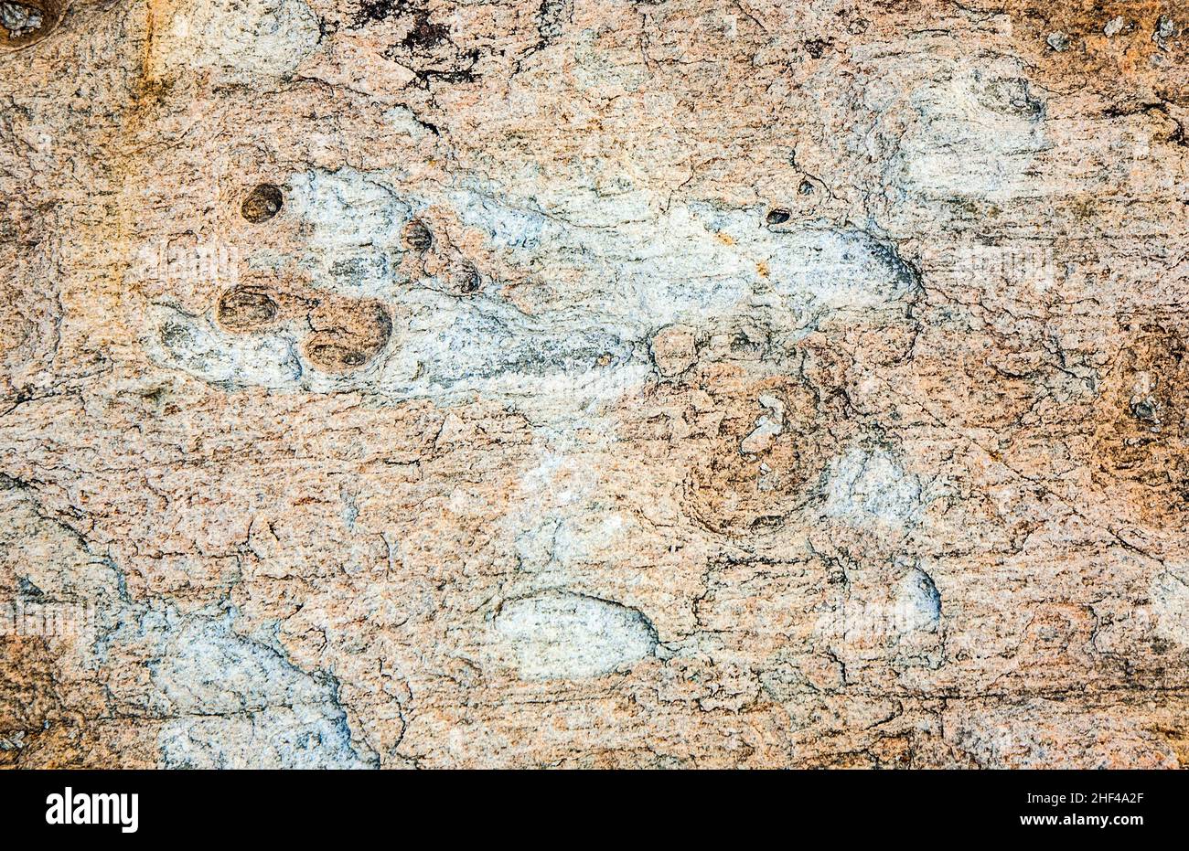 beautiful pattern in Stone at the coast in Thailand Stock Photo - Alamy