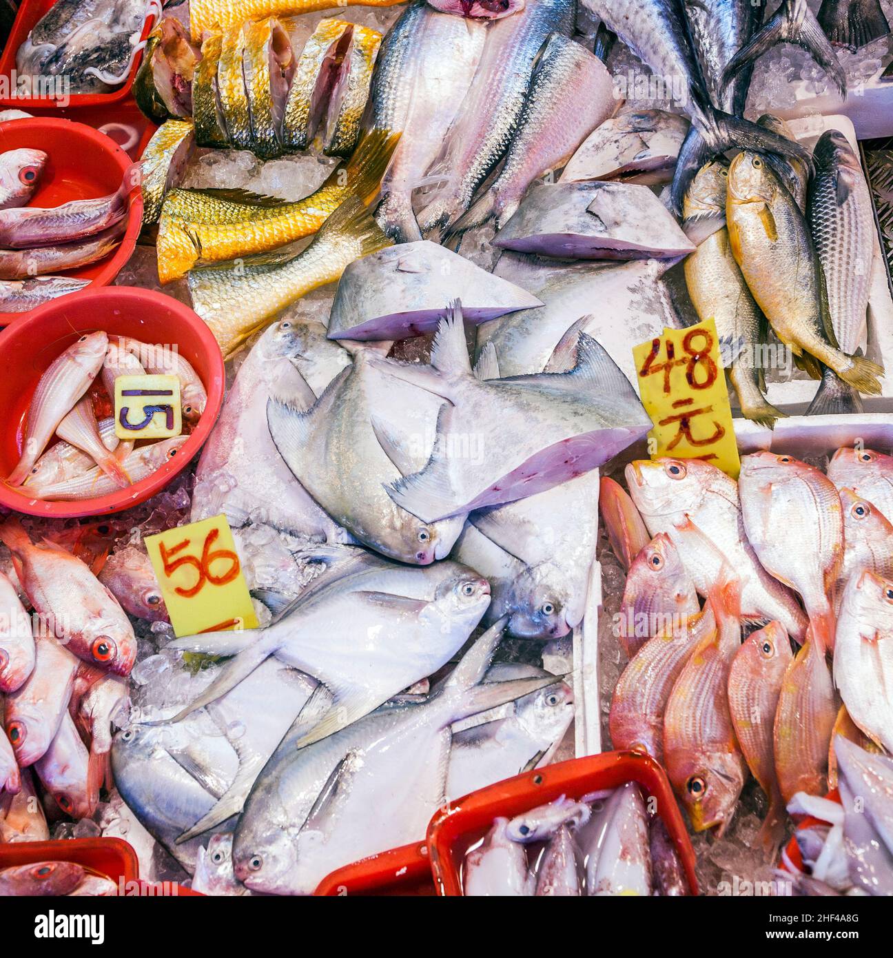 fresh fish at the market Stock Photo - Alamy