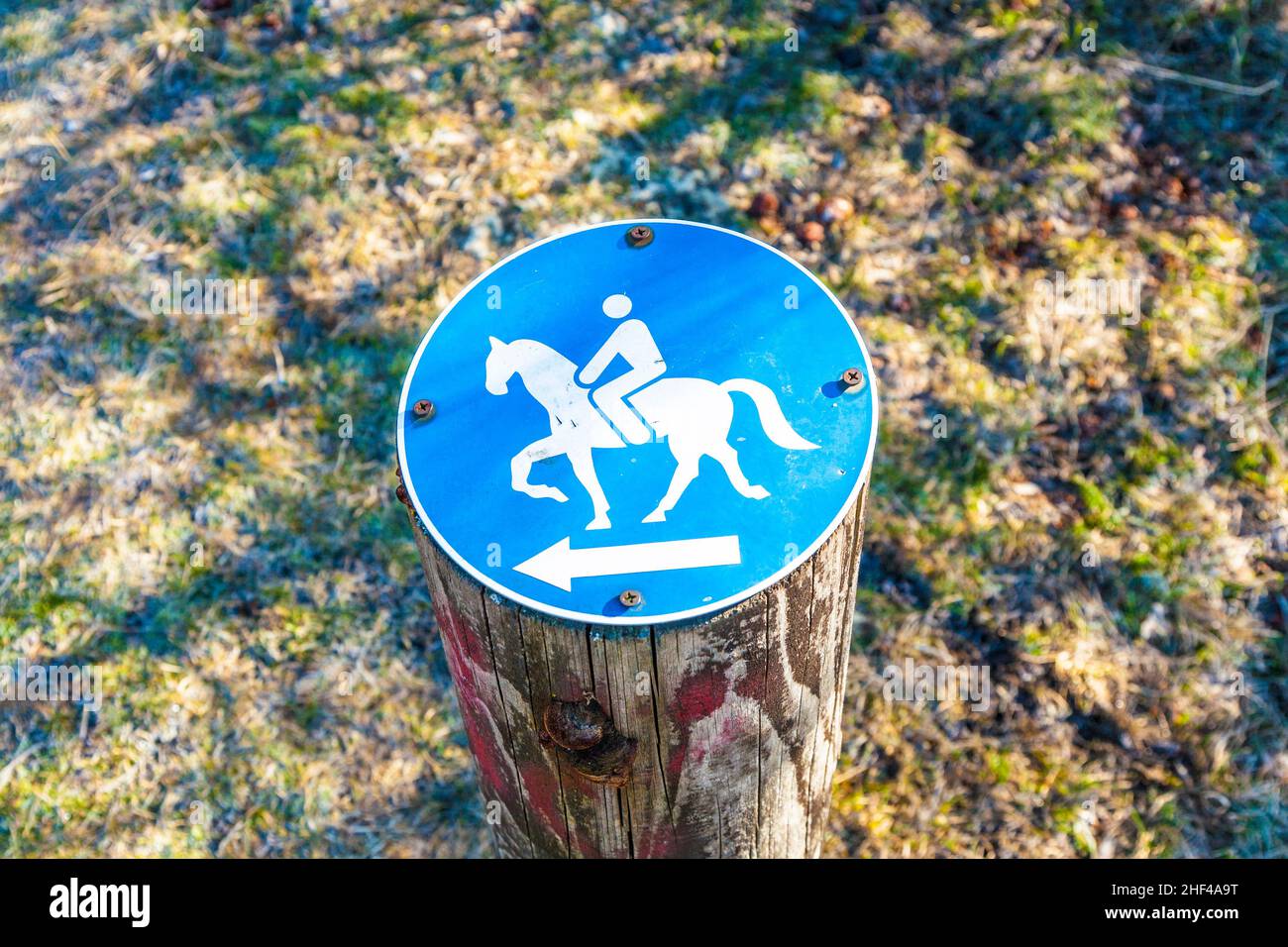 Pictogram horse riding hi-res stock photography and images - Alamy