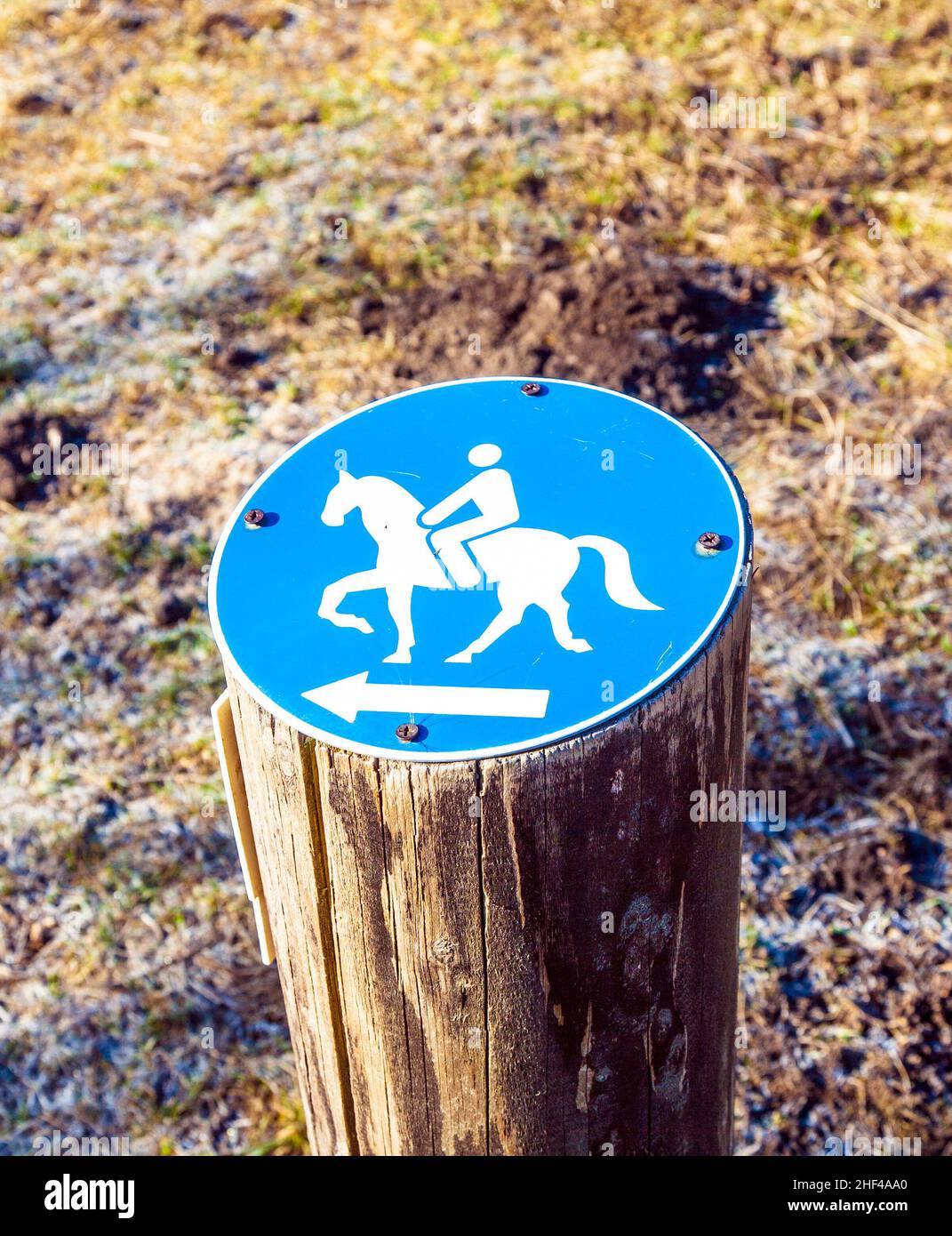 Pictogram horse riding hi-res stock photography and images - Alamy