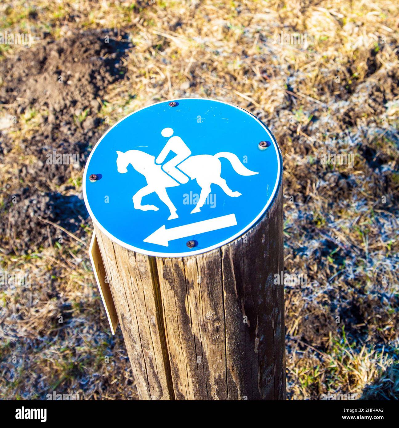 Pictogram horse riding hi-res stock photography and images - Alamy