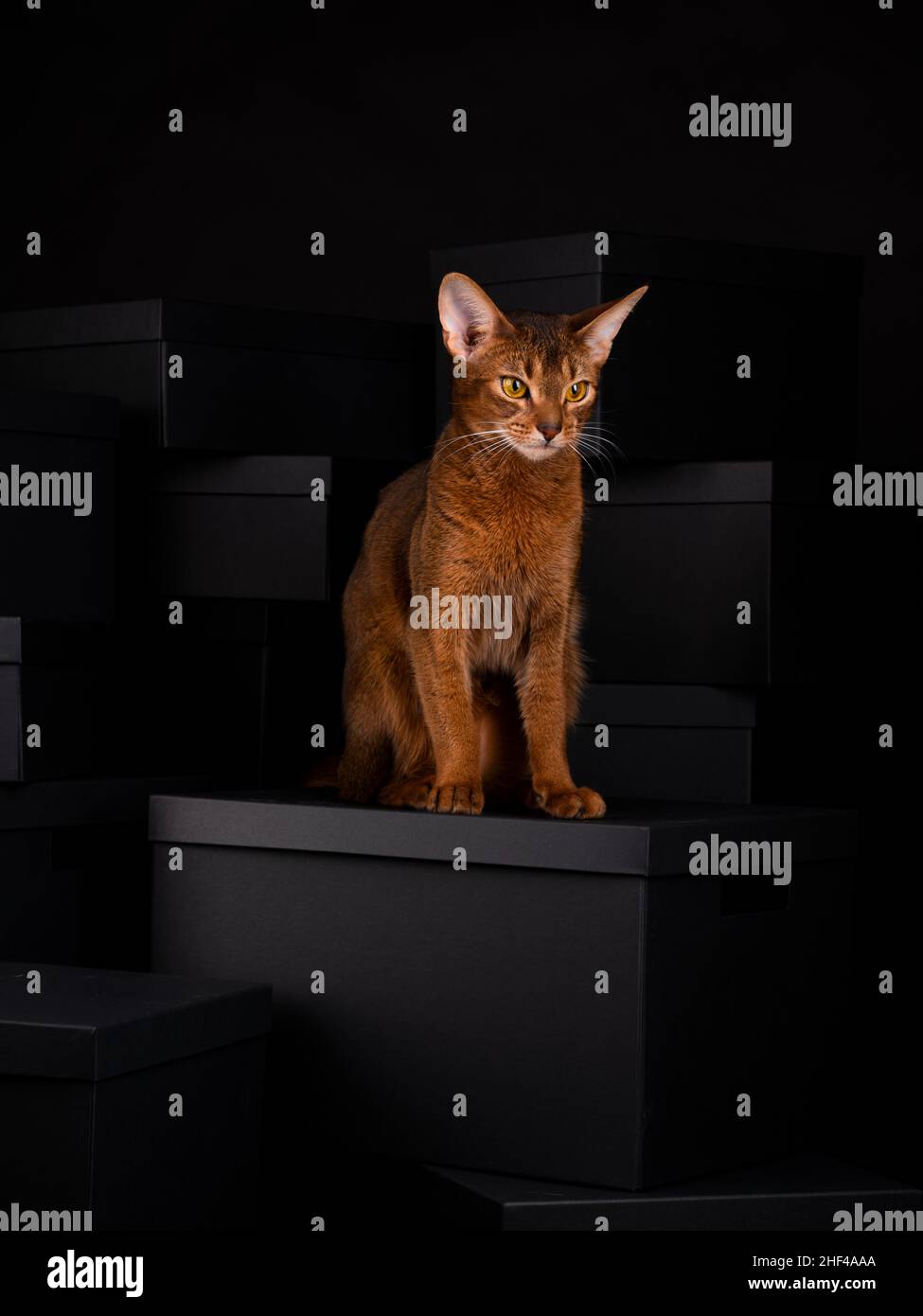 Large dark Stack of Black Boxes in different sizes Stock Photo - Alamy