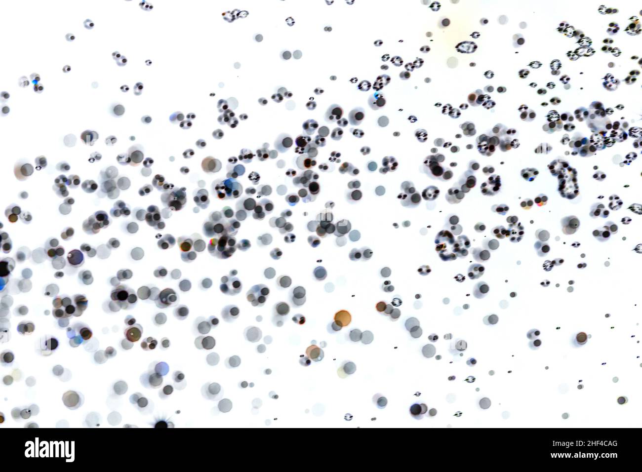 Bokeh overlay Cut Out Stock Images & Pictures - Alamy