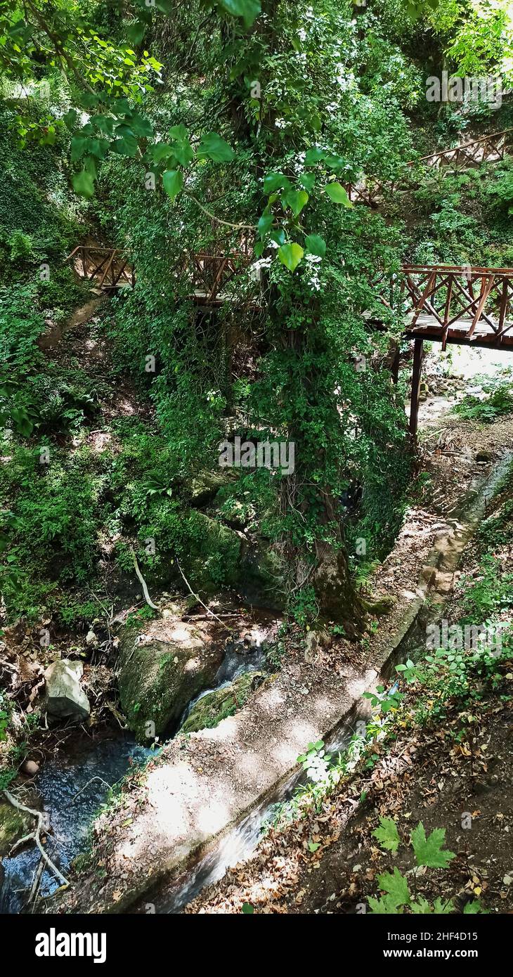 Wooden path in the forest in Megalo Chorio village Karpenisi Greece ...