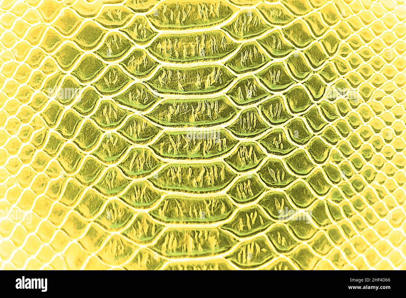 Close up of Abstract Luxury snake skin texture use for background Stock ...