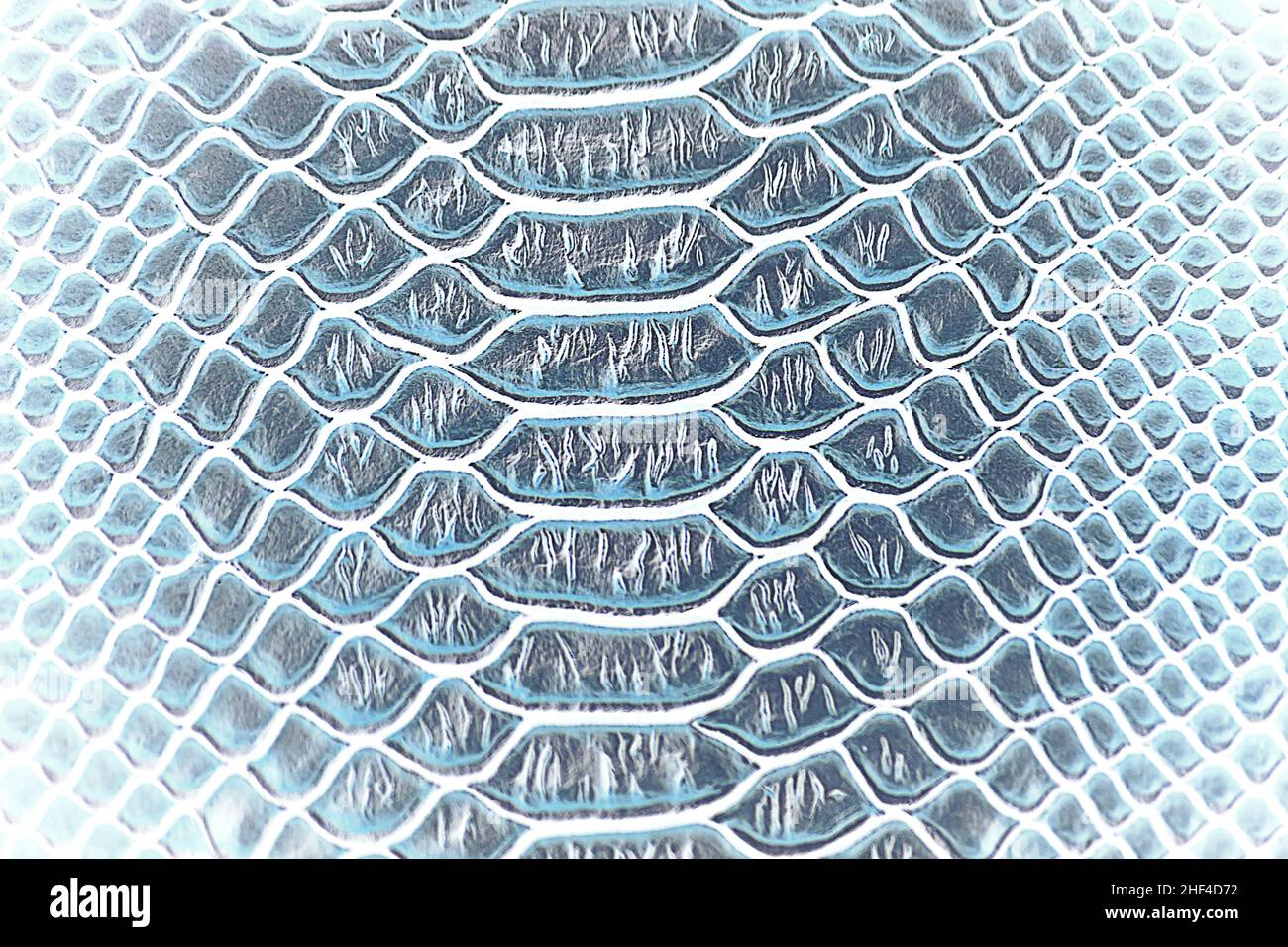 Close up of Abstract Luxury snake skin texture use for background Stock ...