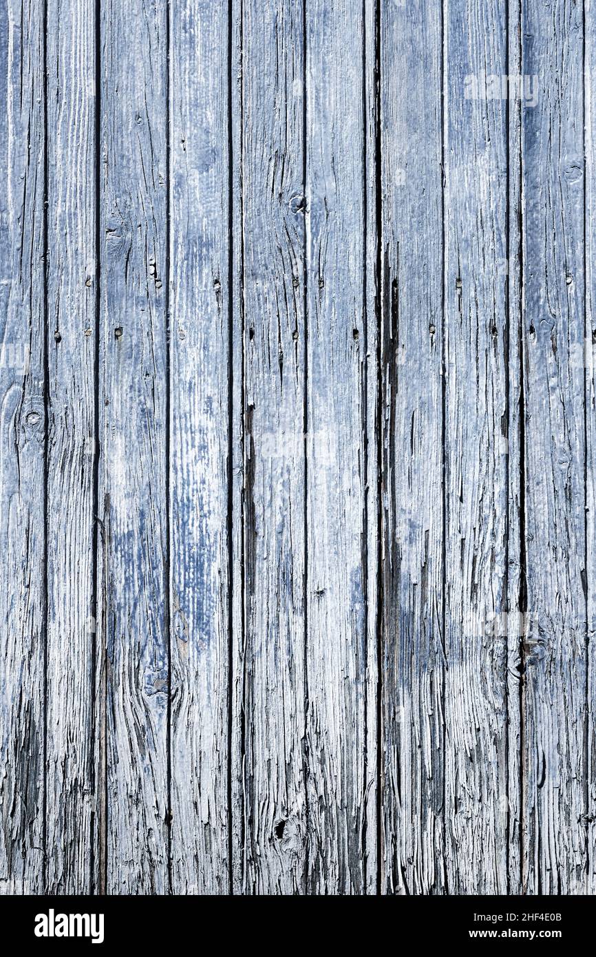 Old wooden light blue painted surface. Light blue old wood planks ...