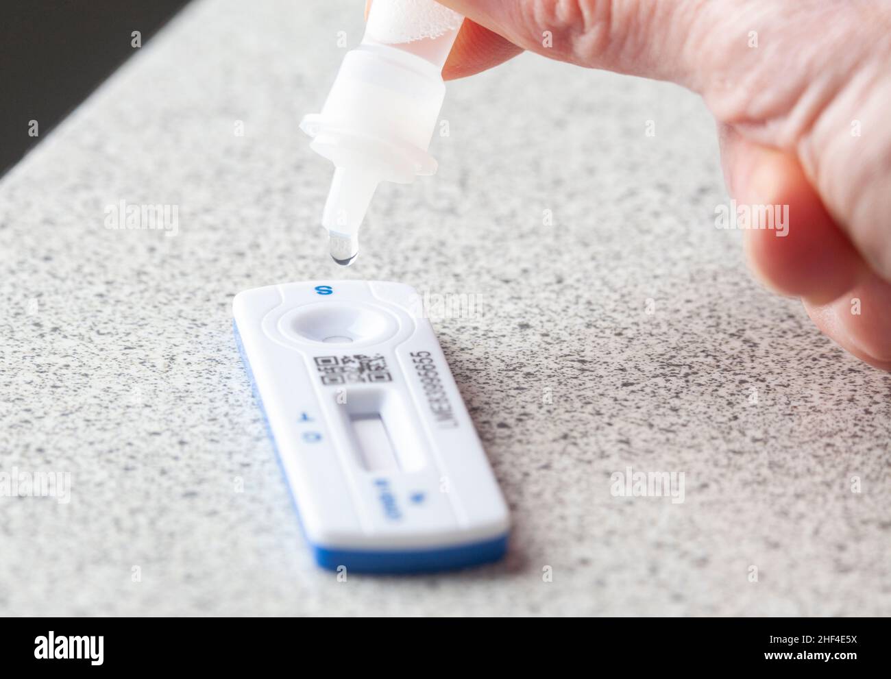 A person doing a lateral flow test at home Stock Photo - Alamy