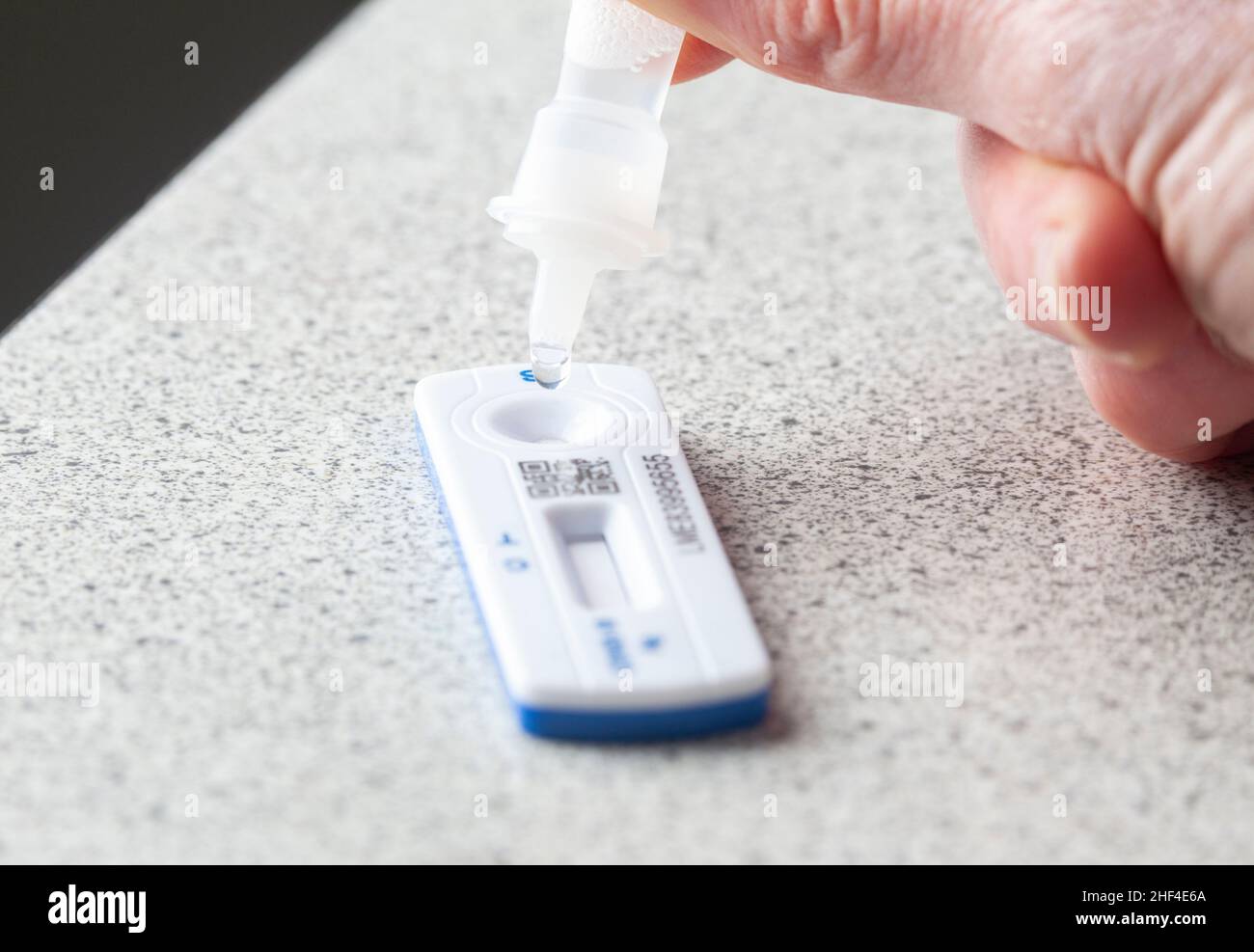 A person doing a lateral flow test at home Stock Photo - Alamy