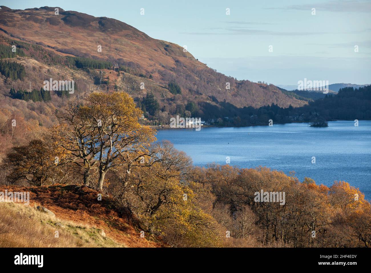 Loch Earn with oak woods in the foreground Stock Photo - Alamy