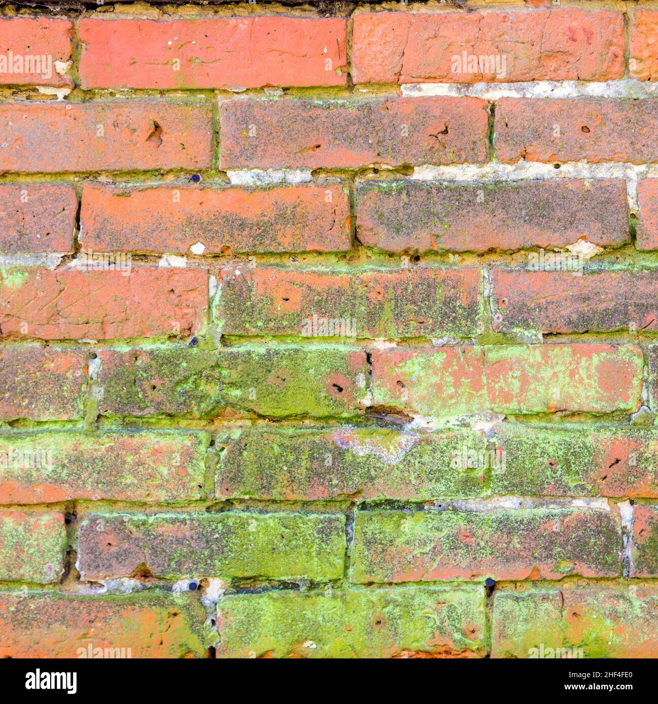 brick wall floor in harmonic red pattern Stock Photo - Alamy